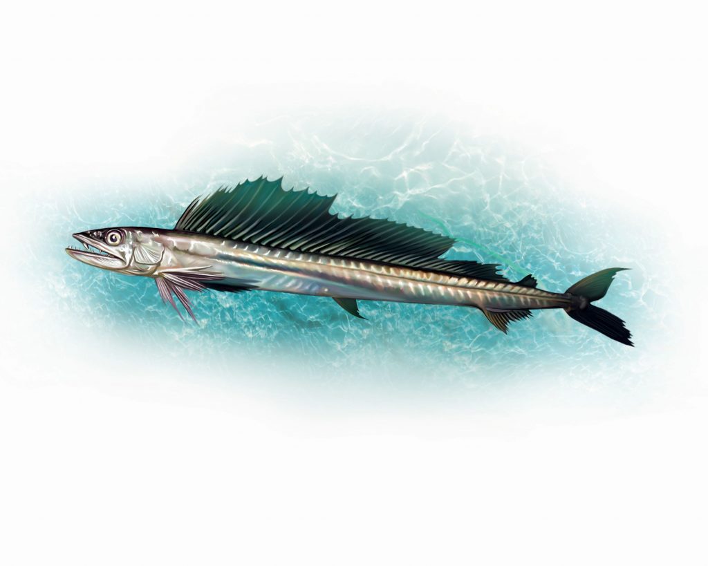 A Surprising List of Cannibalistic Species - tovima.com