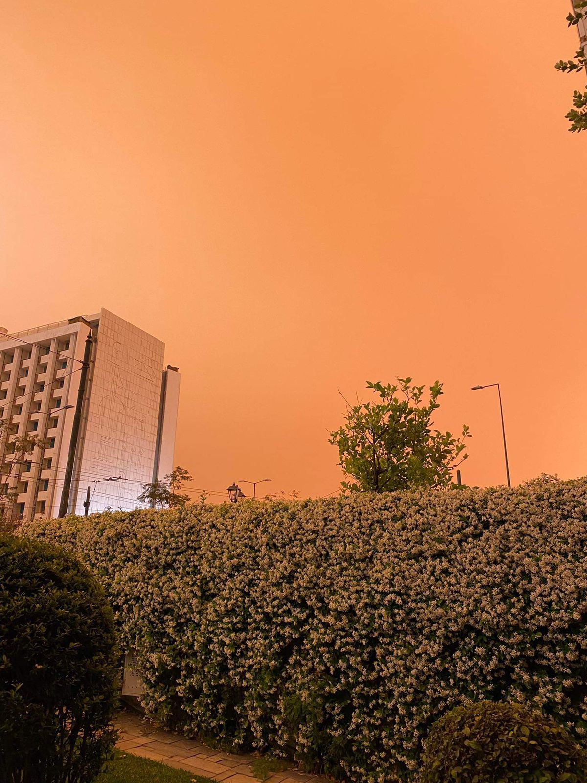 Experts Expect Dystopian African Dust Storm in Greece to Subside Soon ...