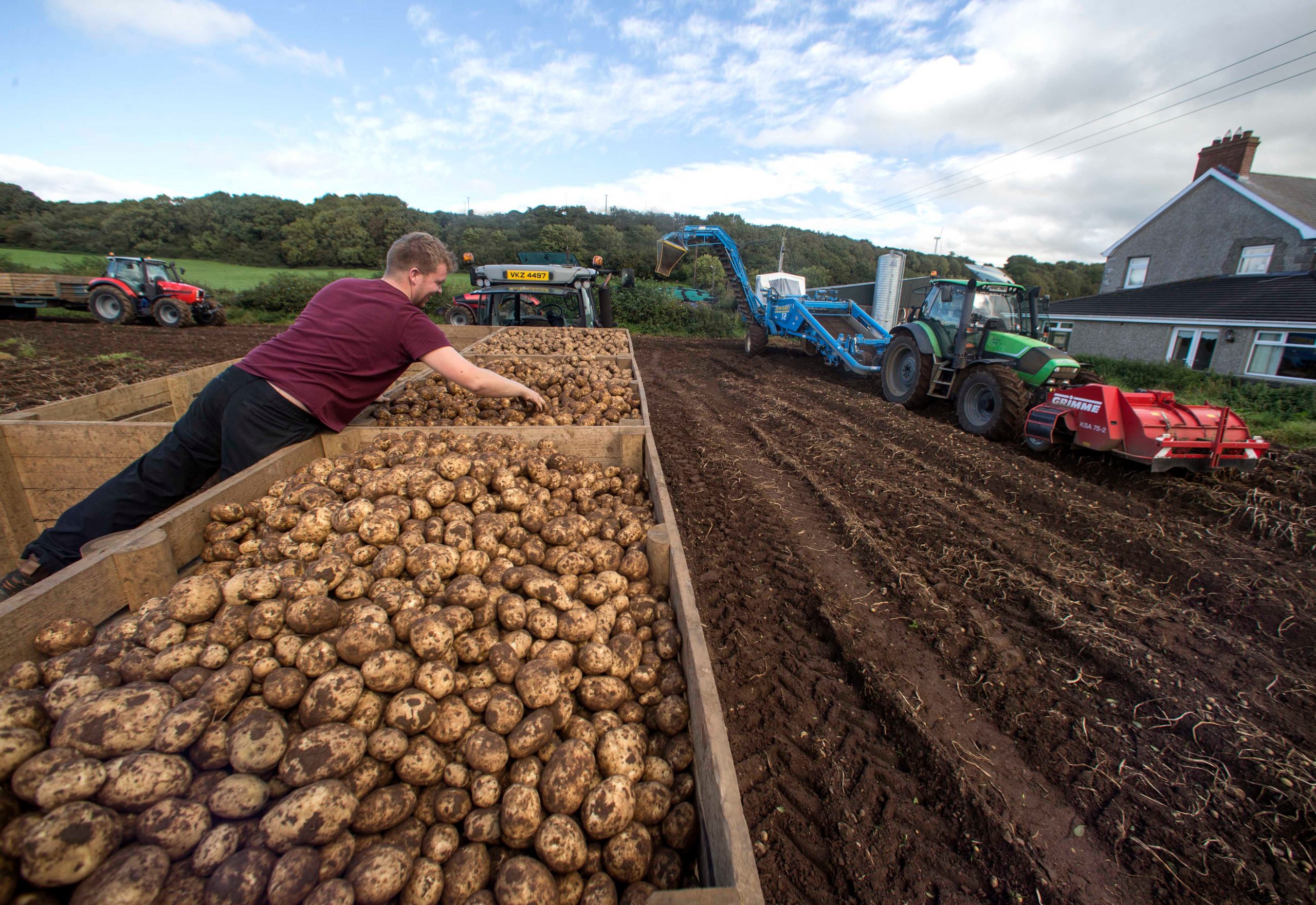 Naxos Potato Crisis: Drought and Poor Infrastructure Hit Production ...