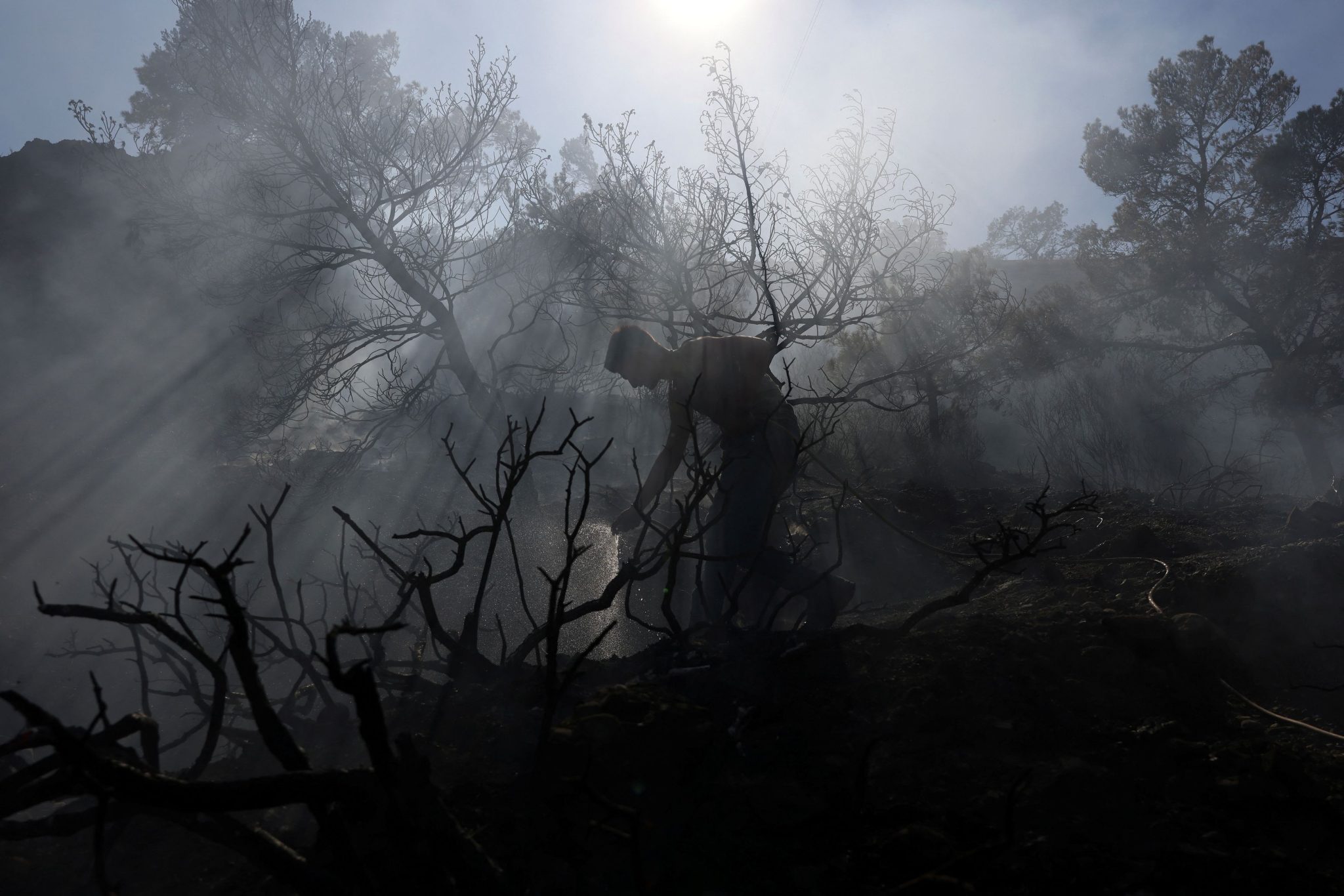 Wildfire Devastates Ierapetra: Widespread Damage Leaves Three Areas in ...