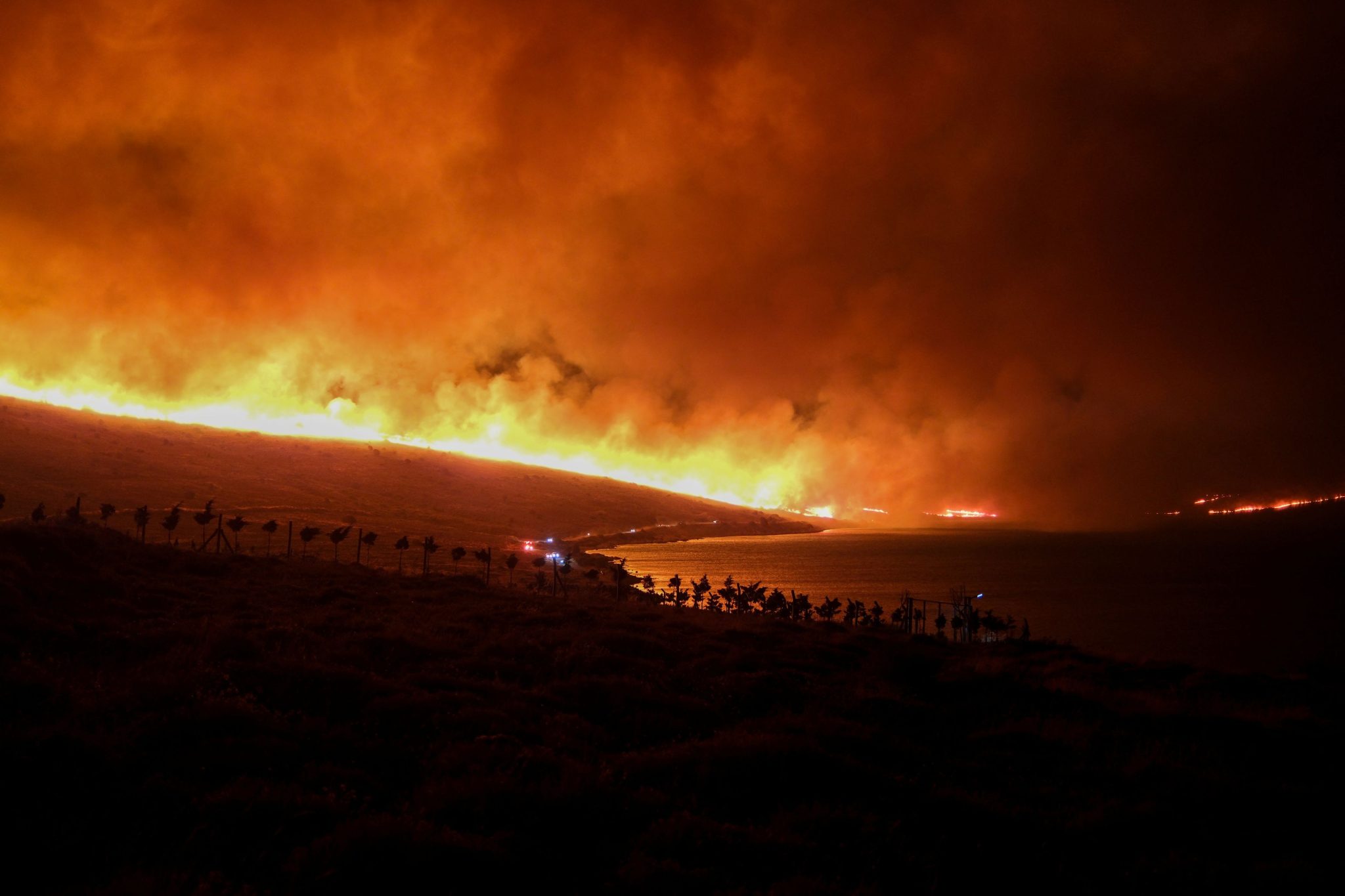 Turkey Wildfires Claim Two Lives as Group Admits to Arson Attacks ...