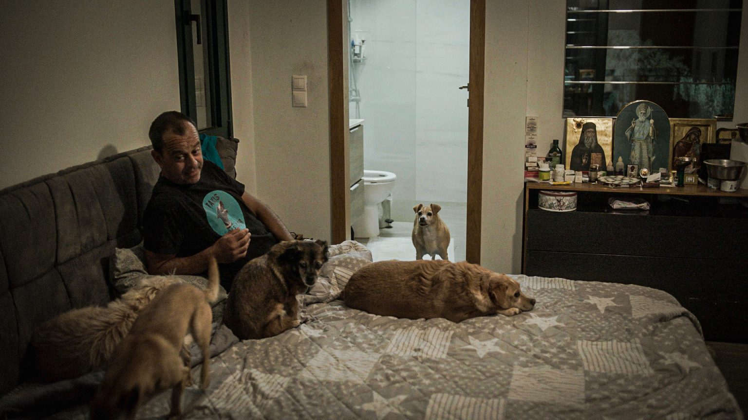 Takis Shelter, the Viral Greek Animal Rescue Story Captivating Animal ...