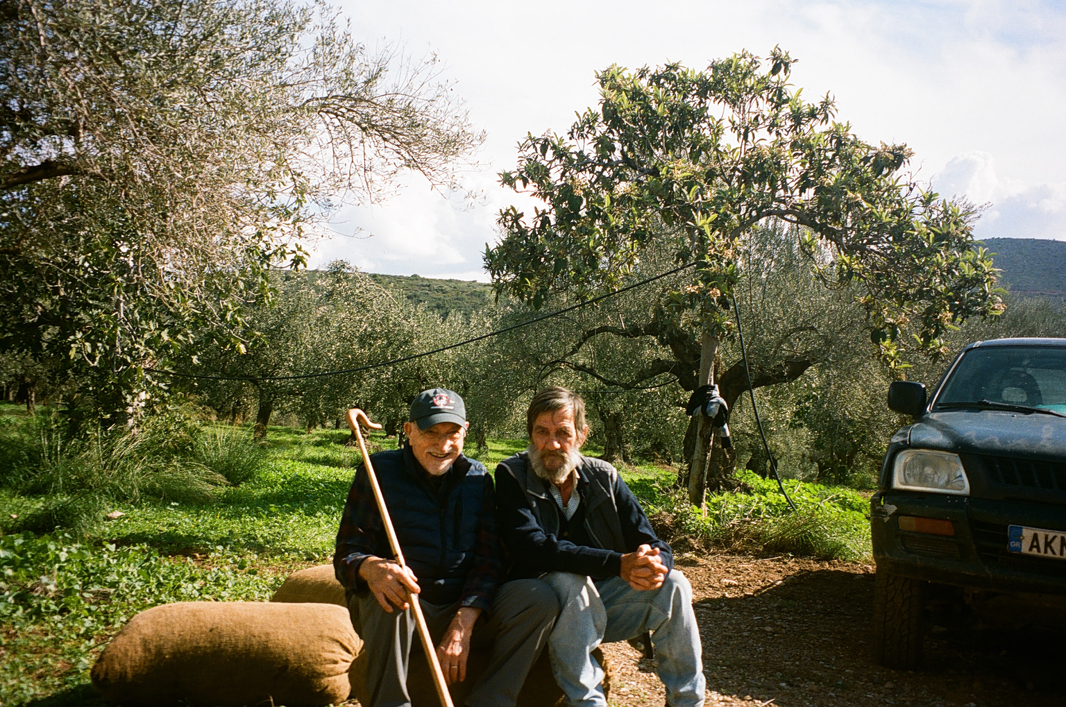 My Family ‘Olive’ Tree: Reconnecting with my Roots - tovima.com